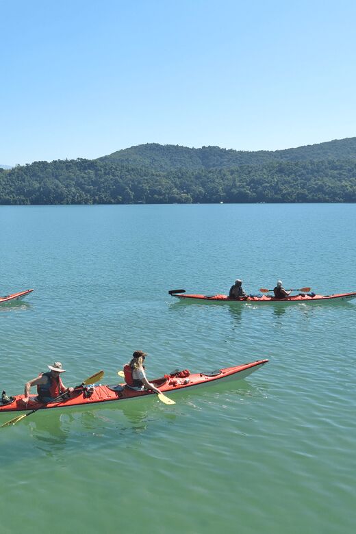 Paraty Bay: Half-Day Mangroves and Beaches Tour by Kayak - An In-Depth Look at the Experience