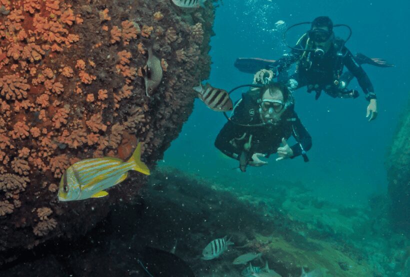 Paraty: Discovery Scuba Diving Experience for Beginners - The Sum Up