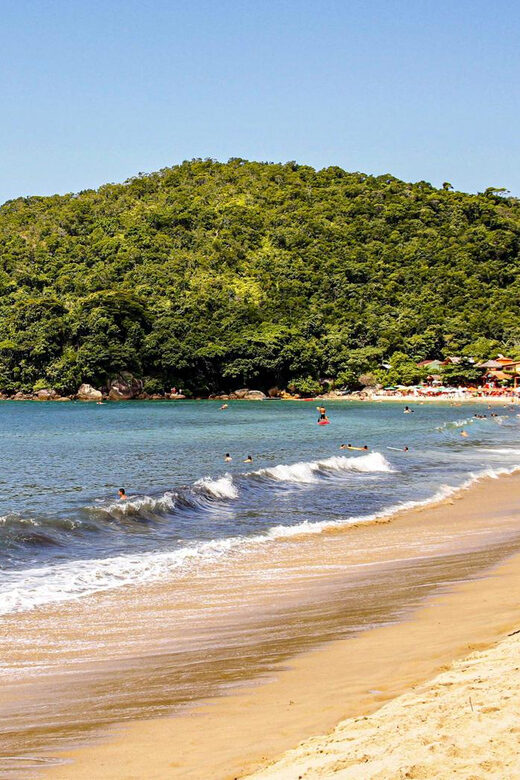 Paraty Forest Hike and Beach Snorkel: Full-Day Tour - Who Will Love This Tour?