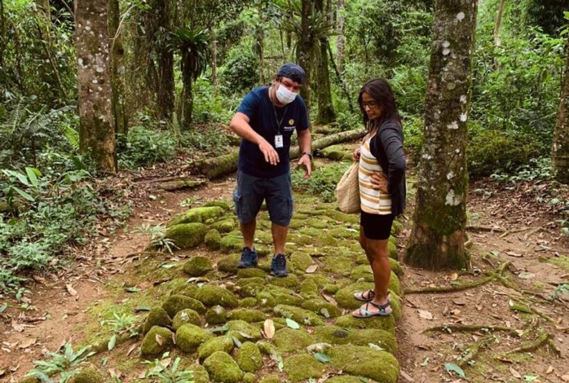 Paraty: Gold Trail Rainforest Hiking Tour - Who This Tour Suits Best