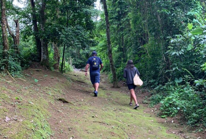Paraty: Gold Trail Rainforest Hiking Tour - Final Thoughts