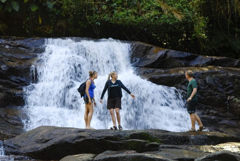 Paraty: Jungle Waterfalls and Cachaça Distillery Jeep Tour - The Sum Up: Who Will Love This Tour?