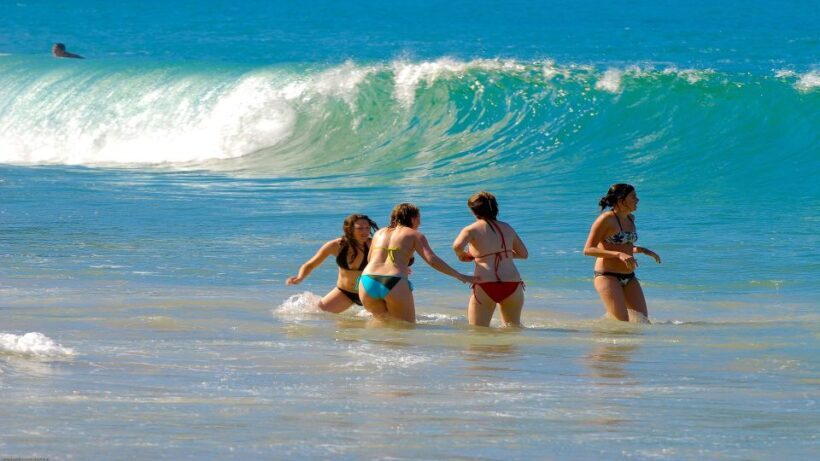 Paraty: Trindade Cove Tour with Cepilho Beach and Hike - What Travelers Say