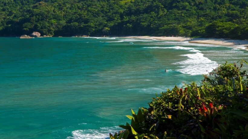 Paraty: Trindade Cove Tour with Cepilho Beach and Hike - The Sum Up