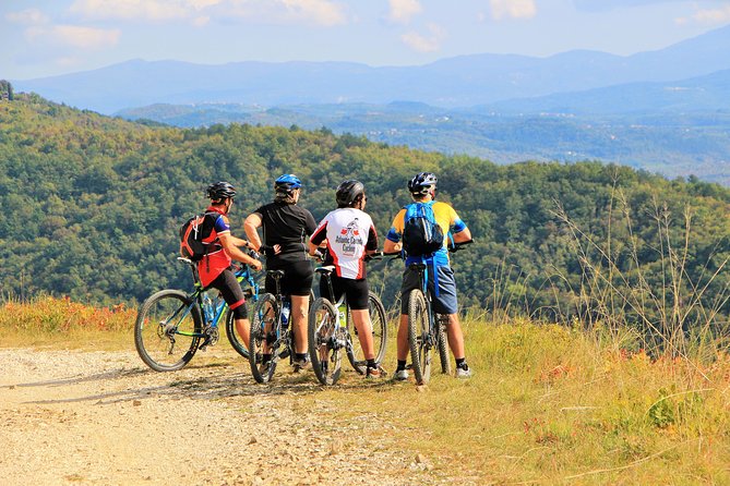 Parenzana Trail Full Day Cycling Tour from Pula, Rovinj, Pore or Buje - Key Points