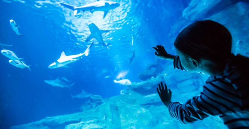 Paris: Aquarium de Paris Entrance Ticket - Introduction