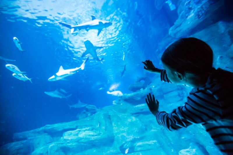 Paris: Aquarium de Paris Entrance Ticket - What to Expect at the Aquarium de Paris