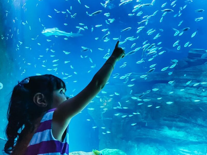 Paris: Aquarium de Paris Entrance Ticket - Detailed Breakdown of the Experience