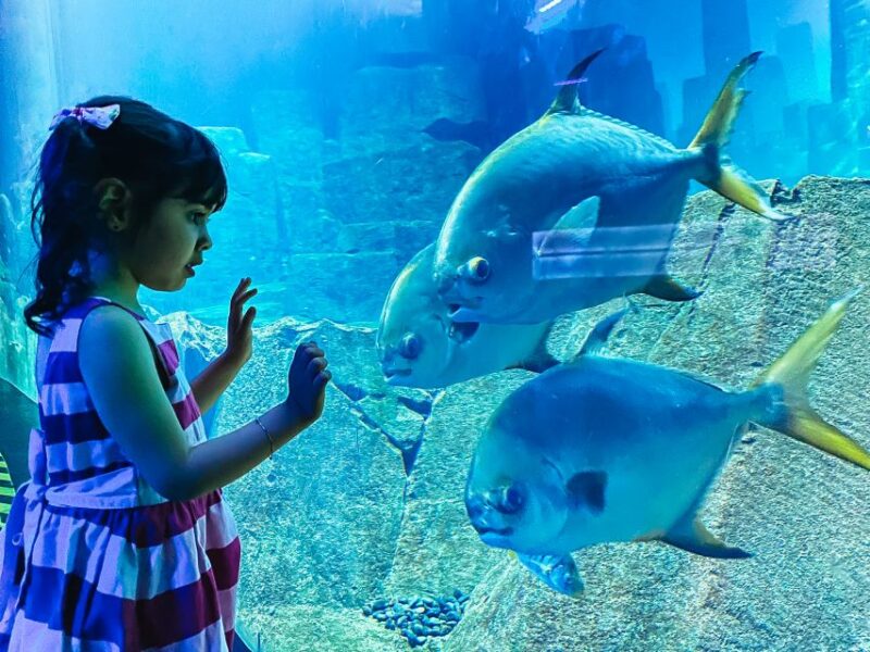 Paris: Aquarium de Paris Entrance Ticket - Price and Value