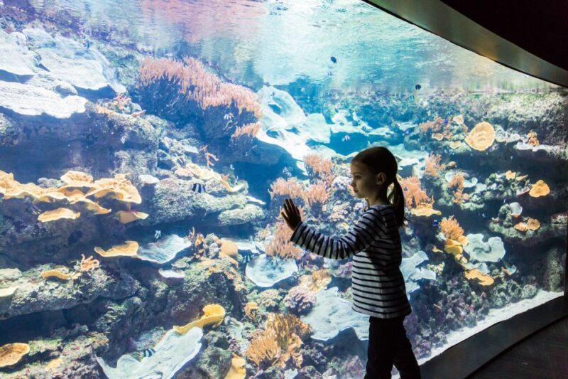 Paris: Aquarium de Paris Entrance Ticket - Who Will Love This Experience