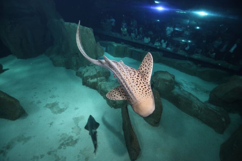 Paris: Aquarium de Paris Entrance Ticket - FAQ