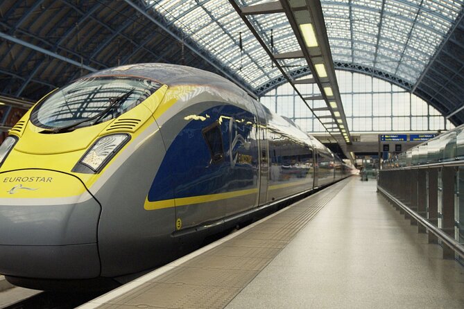 Paris by Rail With Sightseeing Bus and River Seine Lunch Cruise - Guest Feedback and Reviews