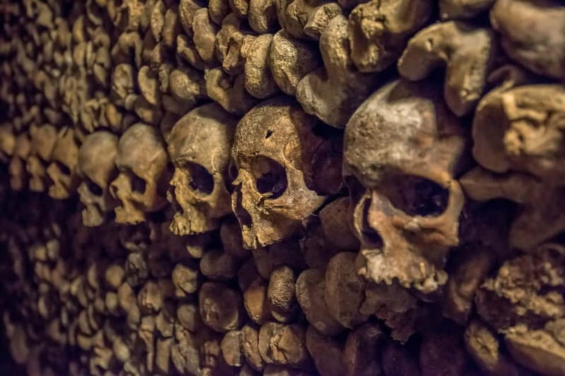 Paris: Catacombs Special Access Tour - Introduction