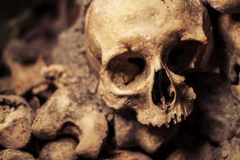 Paris: Catacombs Special Access Tour - The Experience and Atmosphere