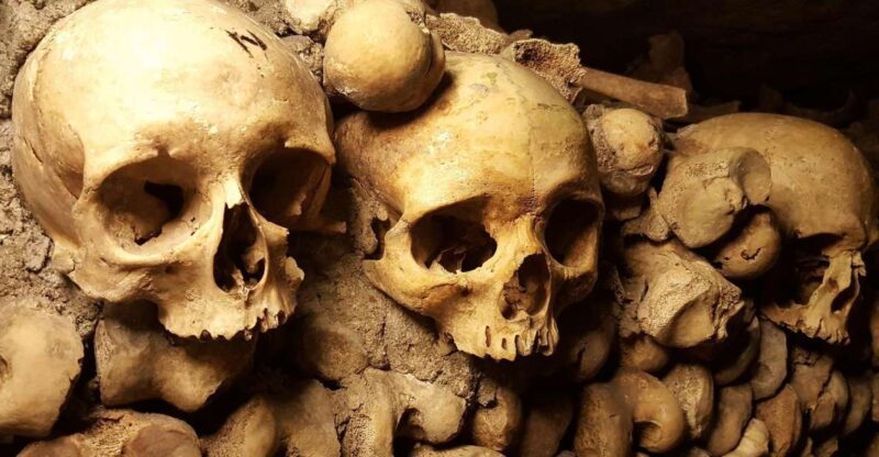 Paris: Catacombs Ticket and Seine River Cruise - What Makes This Tour Stand Out