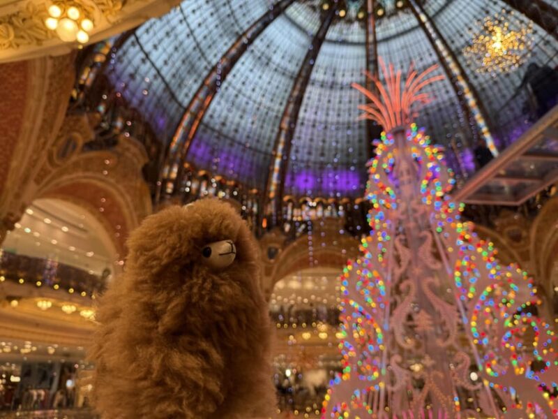 Paris: Christmas Private City Tour by Car - Key Points