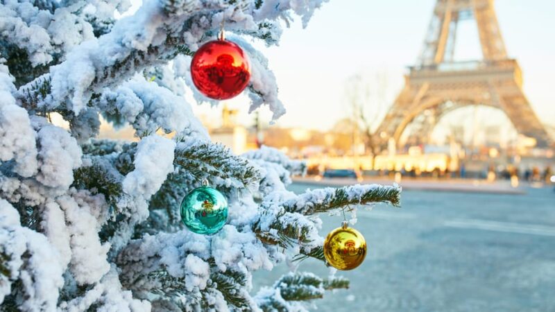 Paris: Christmas Private City Tour by Car - The Practicalities: What to Expect