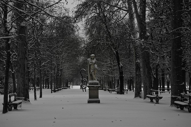 Paris Christmas Tour with a Local Guide, Custom & Private - Who Will Love This Tour?