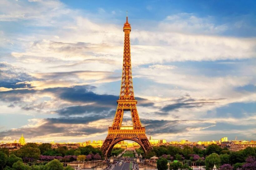 Paris Half-Day City Tour with a Private Driver - The Experience of Comfort Cars
