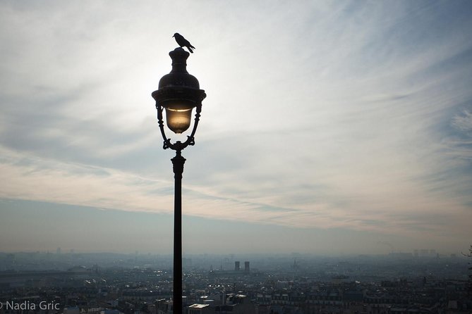 Paris Half Day Private Tour Review - Pricing and Inclusions