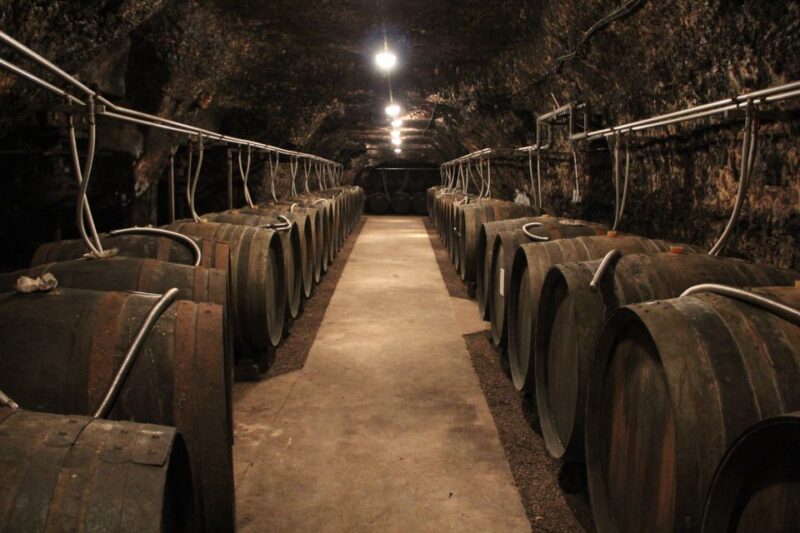 Paris: Loire Valley Chambord Castle, Wine Tasting & Lunch - Practical Tips for Travelers