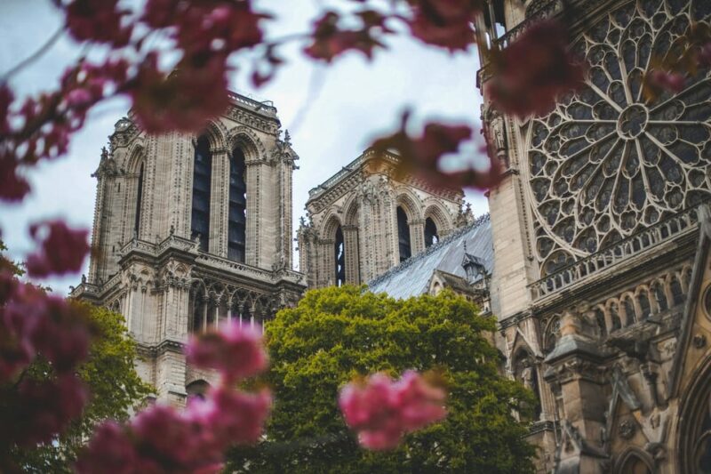 Paris: Notre Dame Cathedral With an Expert – Small Group - The Cathedrals Architecture and Art