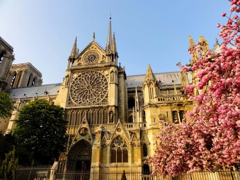 Paris: Notre Dame Exterior Private Tour - An In-Depth Look at the Notre Dame Exterior Private Tour