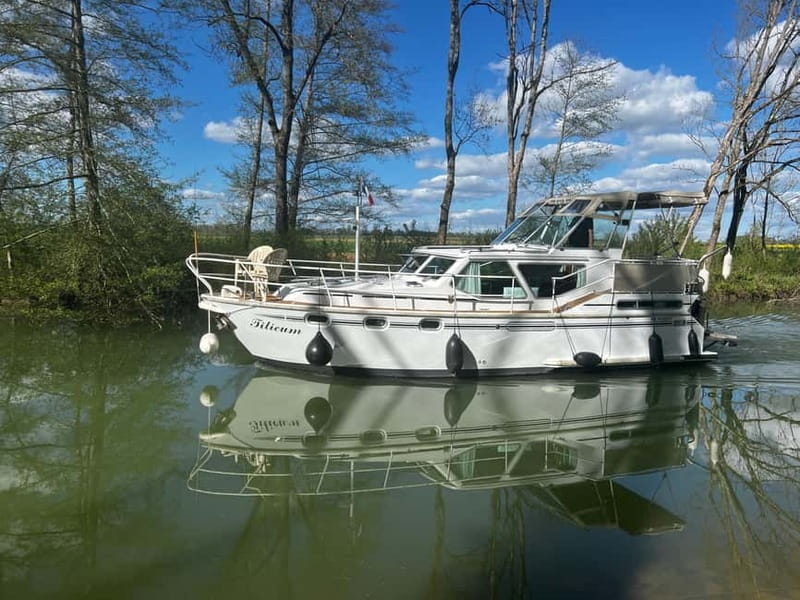 Paris: Private cruise on the Seine - What to Expect on Your Cruise