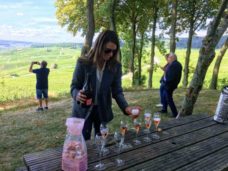 Paris: Private Day Trip to Champagne with 8 Tastings & Lunch - What the Tour Includes and Its Value