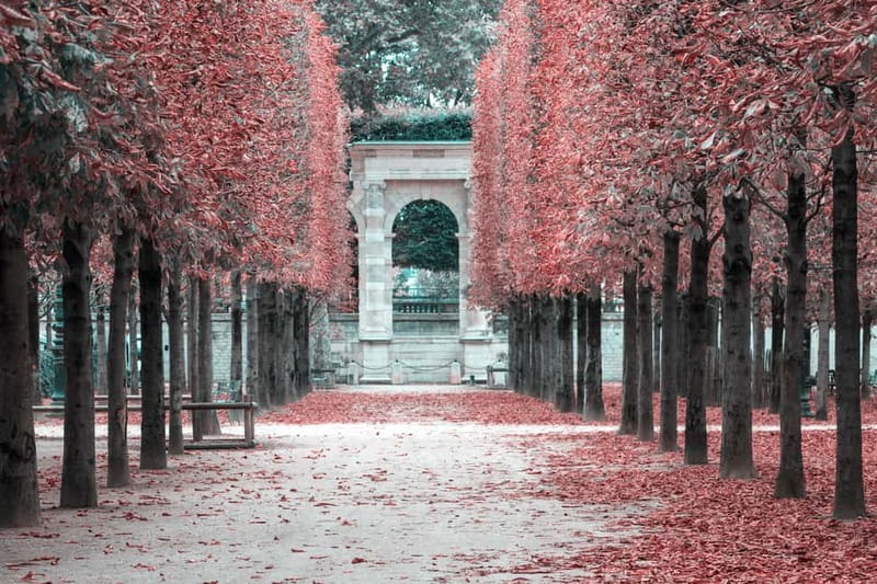 Paris: Private Full Day Tour-Louvre Sainte Chapelle Tickets - The Value of This Tour