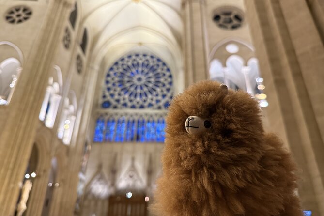 Paris Private Guided Walking Tour with Notre-Dame Outdoor - Considerations Before Booking