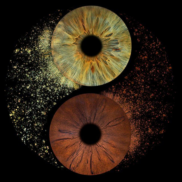 Paris: Professional Iris Photography with a Framed Print - What to Expect from Your Iris Photo Experience