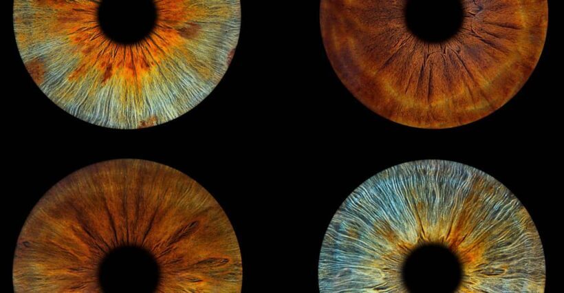 Paris: Professional Iris Photography with a Framed Print - Whats Included and Whats Not