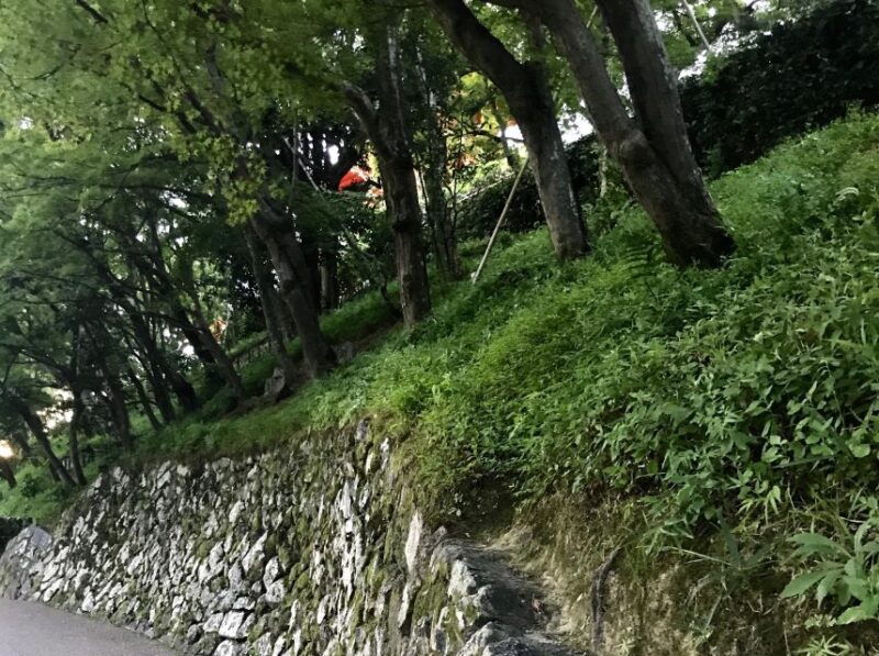 Paris Secret Gardens 1.30 hour long Walking Tour - Why This Tour Works Well