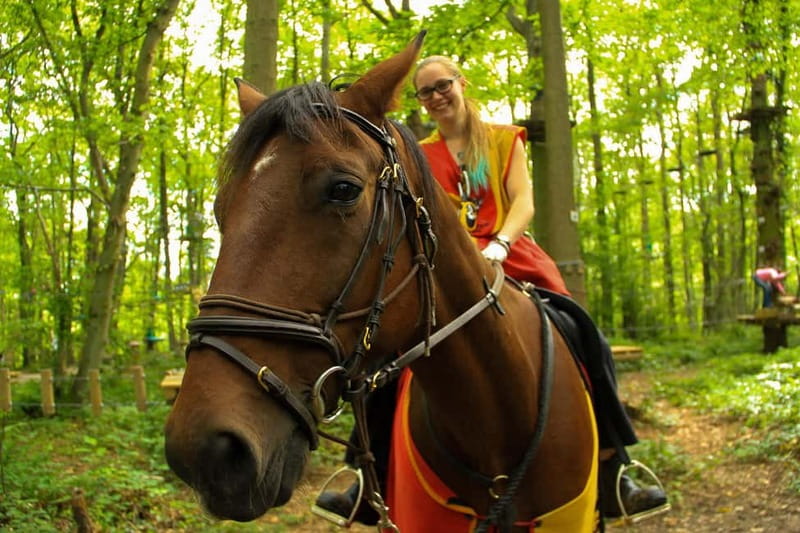 Paris : Sherwood Parc - Biggest Adventure Park Entry Ticket - Is It Worth the Price?