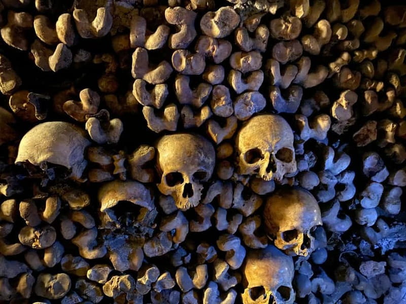 Paris: Small-Group Catacombs Tour with Skip-the-Line Entry - Who Should Consider This Tour?