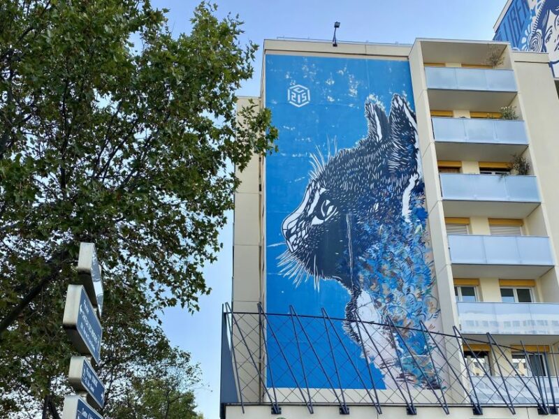 Paris: Street Art Smartphone Audio-Guided Tour - Customer Feedback and Ratings