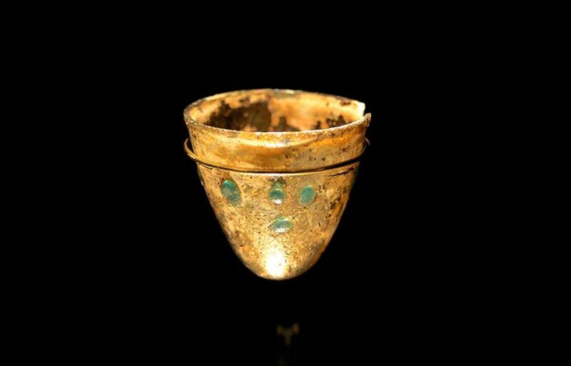 Paris: The M. Wine Museum Entrance Ticket - Key Points