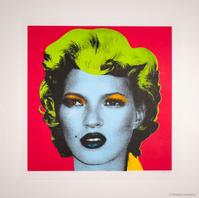 Paris: The World of Banksy Musée Banksy Entry Ticket - Exhibition Theme and Concept