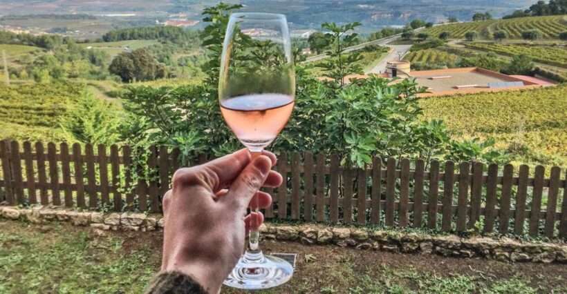 Paris: Two Reims Champagne Vineyards with Tastings and Lunch - An In-Depth Look at the Tour Experience