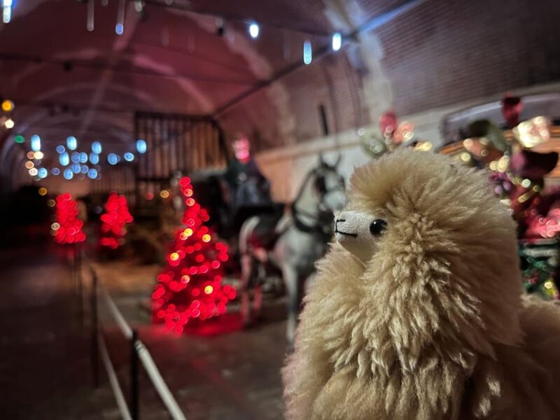 Paris: Vaux-le-Vicomte Private Guided Tour - What’s Included and What to Consider