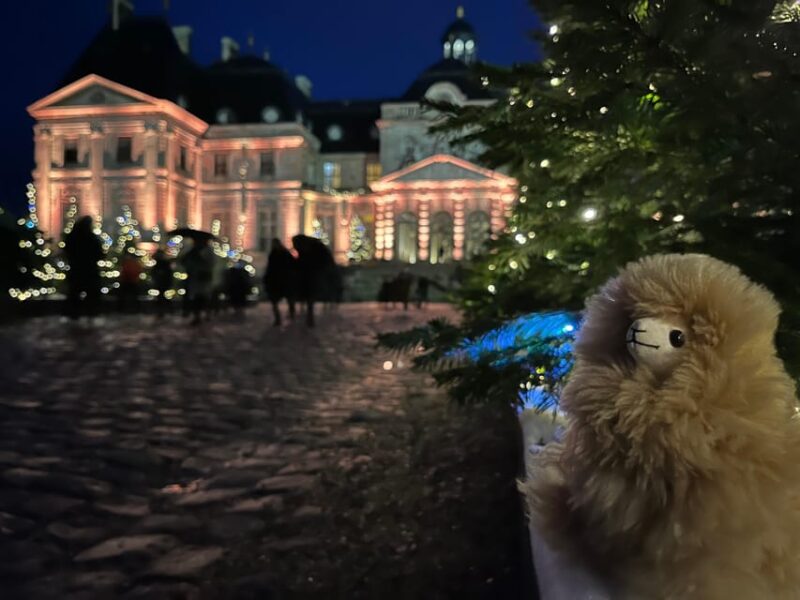 Paris: Vaux-le-Vicomte Private Guided Tour - Why This Tour Is Worth Considering