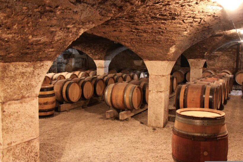 Paris VIP: Burgundy Wine Region Chauffeur Driven Tour 14 hrs - An Epic Day in Burgundy: What to Expect from the Tour
