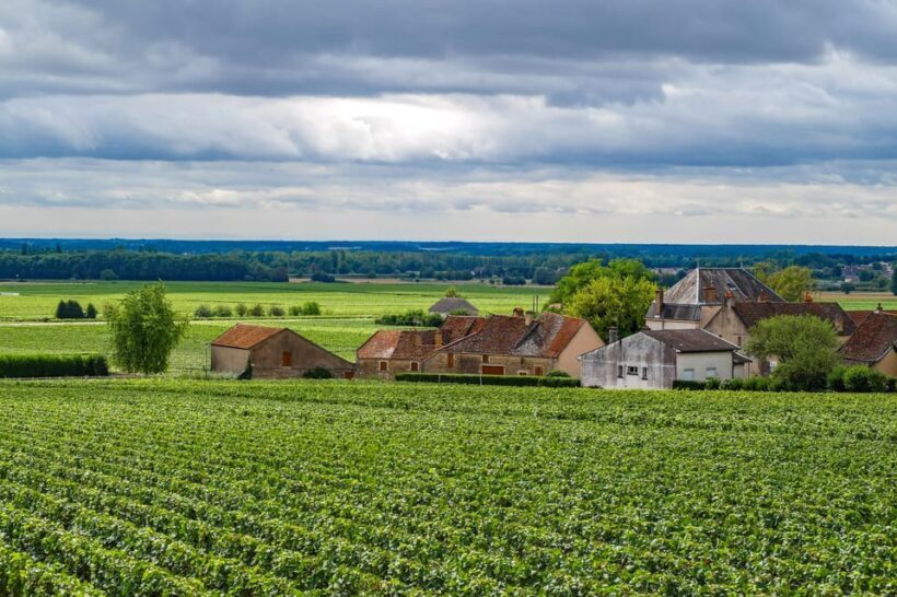 Paris VIP: Burgundy Wine Region Chauffeur Driven Tour 14 hrs - Final Thoughts: Is It Worth It?