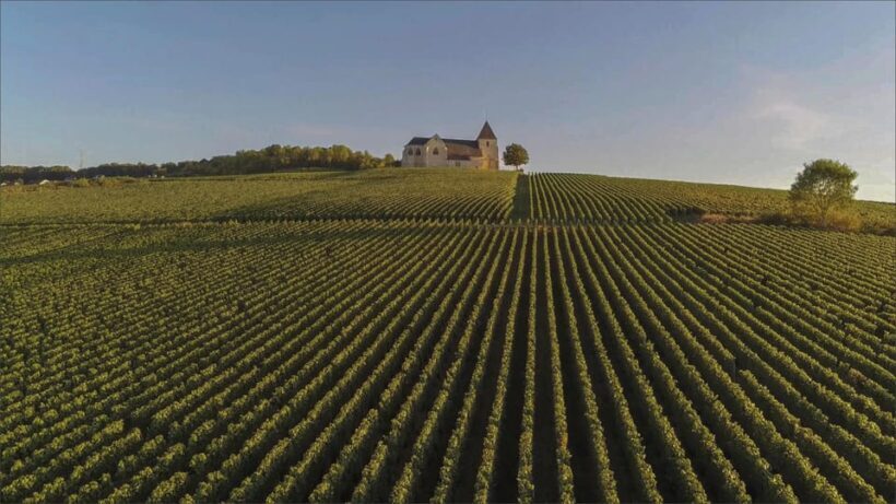 Paris VIP: Champagne Region Private Chauffeur Driven 12hrs - The Sum Up