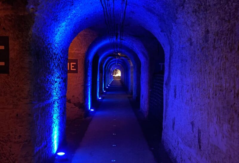 Paris Wine Day Tours all inclusive Champagne tour from Paris - Authentic Experiences and Customer Feedback