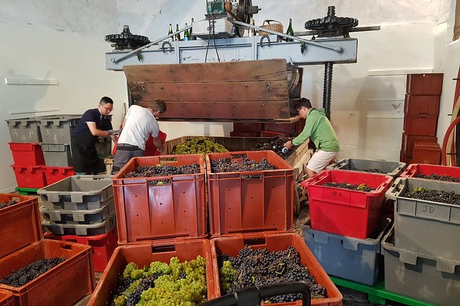 Paris Wine Day Tours Exclusive Champagne Tour Incl. 3 Visits - Meeting and Pickup