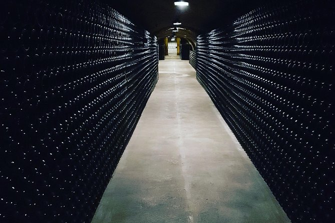 Paris Wine Day Tours Exclusive Champagne Tour Incl. 3 Visits - Champagne Visits