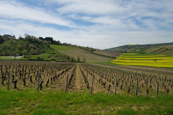 Paris Wine Day Tours Exclusive Wine Tour in the Sancerre Area - Key Points