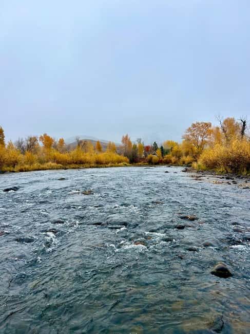 Park City: Guided Fly Fishing on Provo & Weber Rivers - Key Points